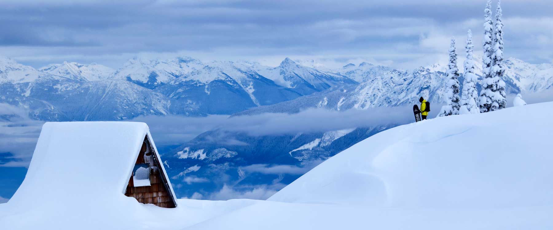 Wired Snowboards
